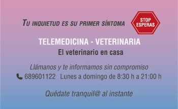 Sahueso Centro Veterinario - Servicios Veterinarios de Confianza en ...
